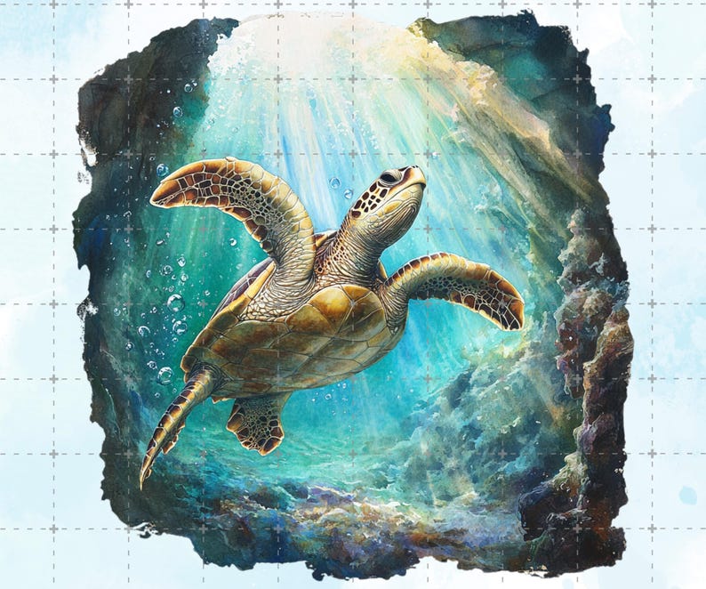 20 PNG Sea Turtle Art Set – Ocean Wildlife Graphics - Etsy Hong Kong