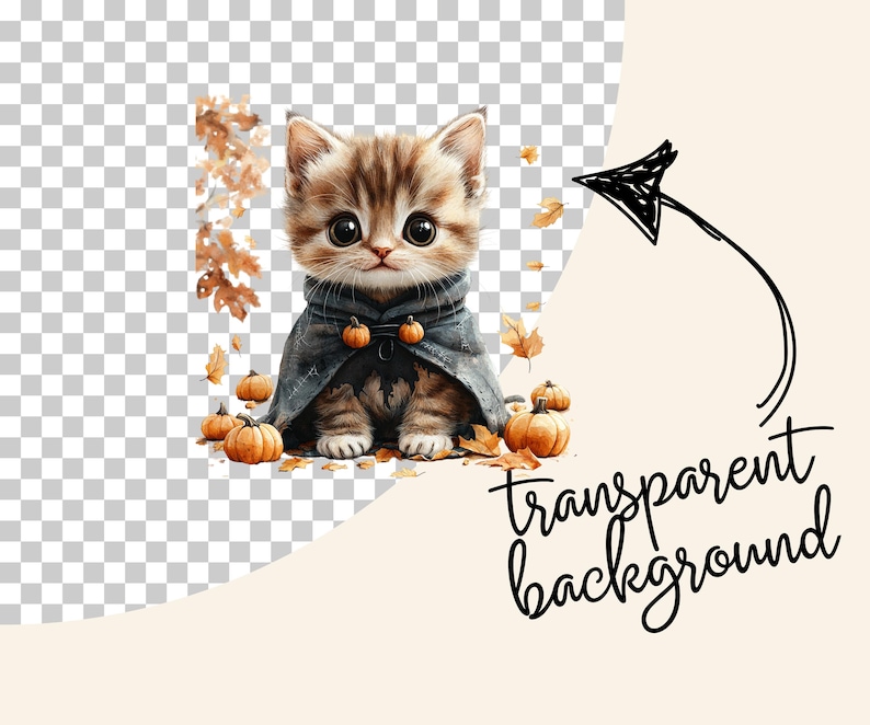 27 Fall Cat Clipart – PNG Digital Download, Watercolor Autumn Cats ...
