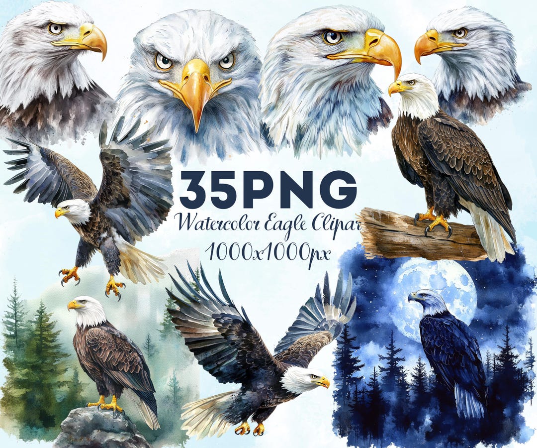 Bald Eagle Watercolor Illustrations - 35 PNG Eagle Art Bundle - Etsy