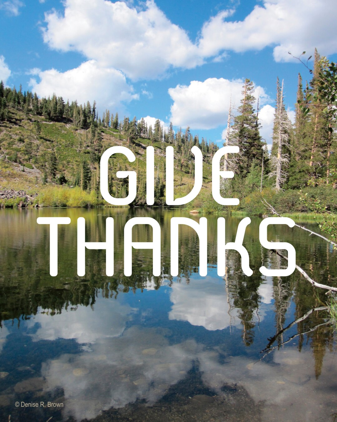 Give Thanks, Original Photography Print 8x10 - Etsy