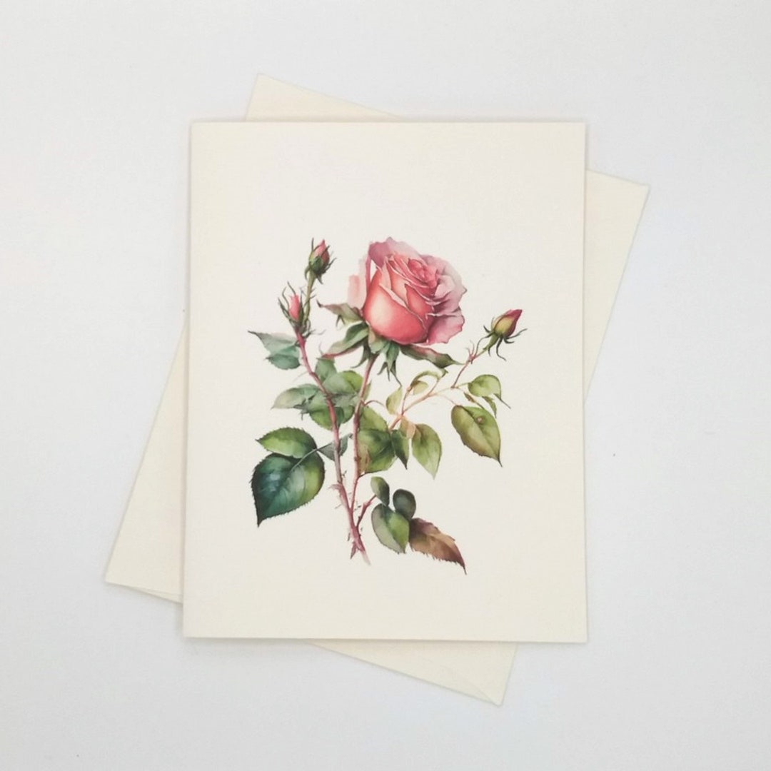 Pink Rose Cards, Note Card Set, 8 Blank Folded Cards, Watercolor ...
