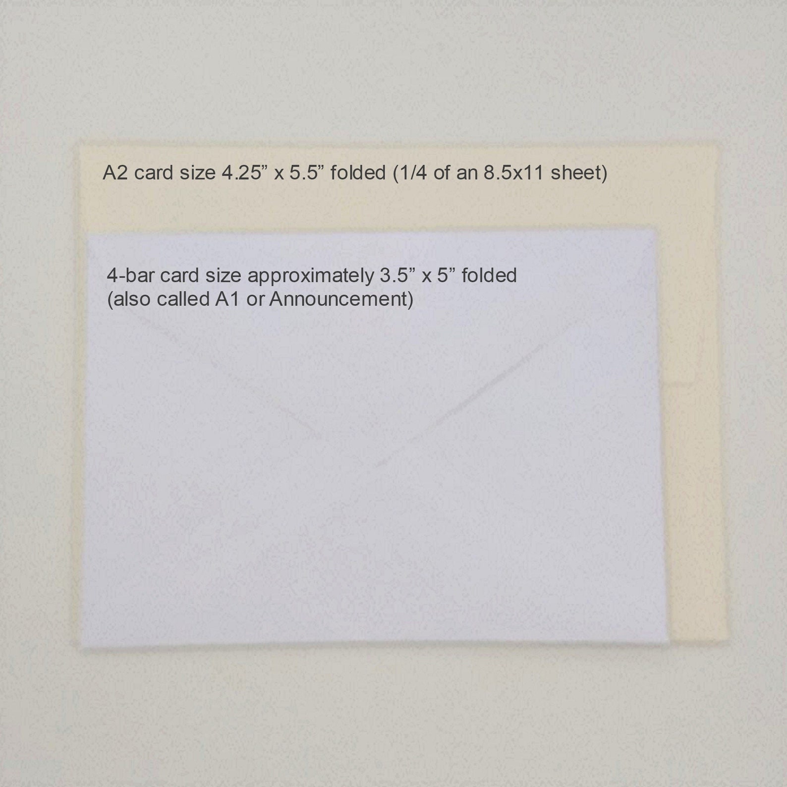 Bunnies Reading Note Cards, Set of 8 Blank Folded Cards, Watercolor ...