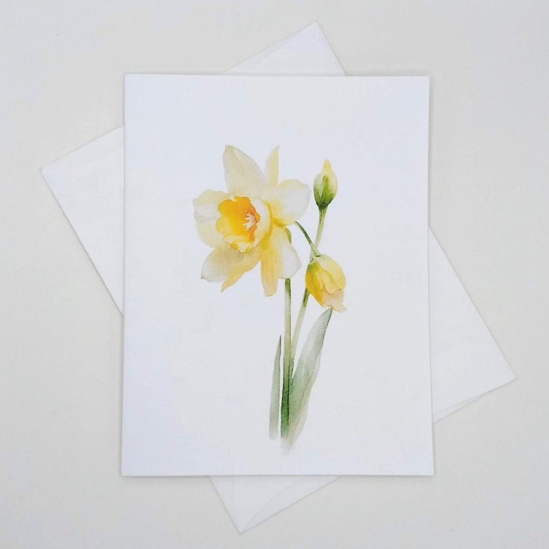 Daffodil Card Set, 8 Blank Folded Cards, Watercolor Flowers, Daffodils ...