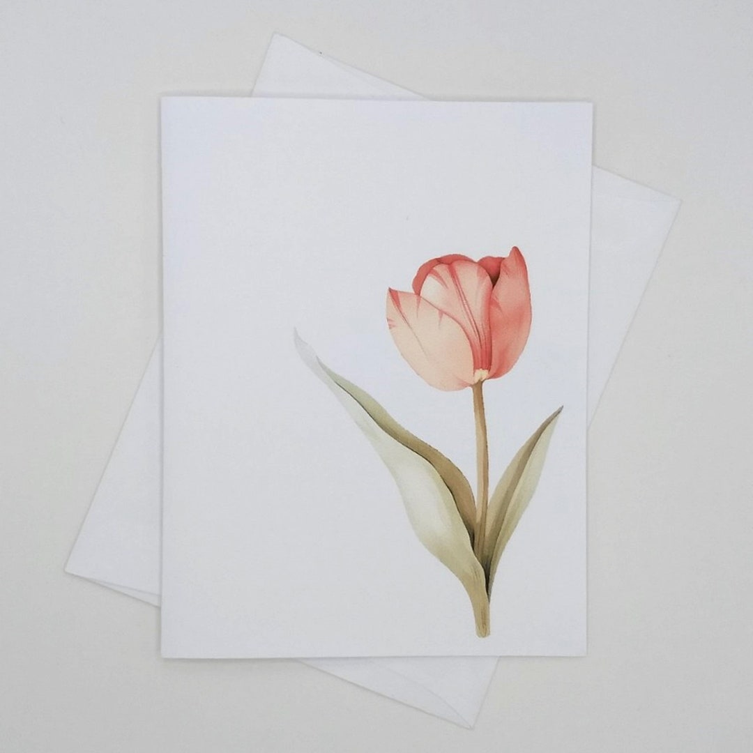 Pink Tulip Note Cards Set, 8 Blank Folded Cards, Watercolor Style ...
