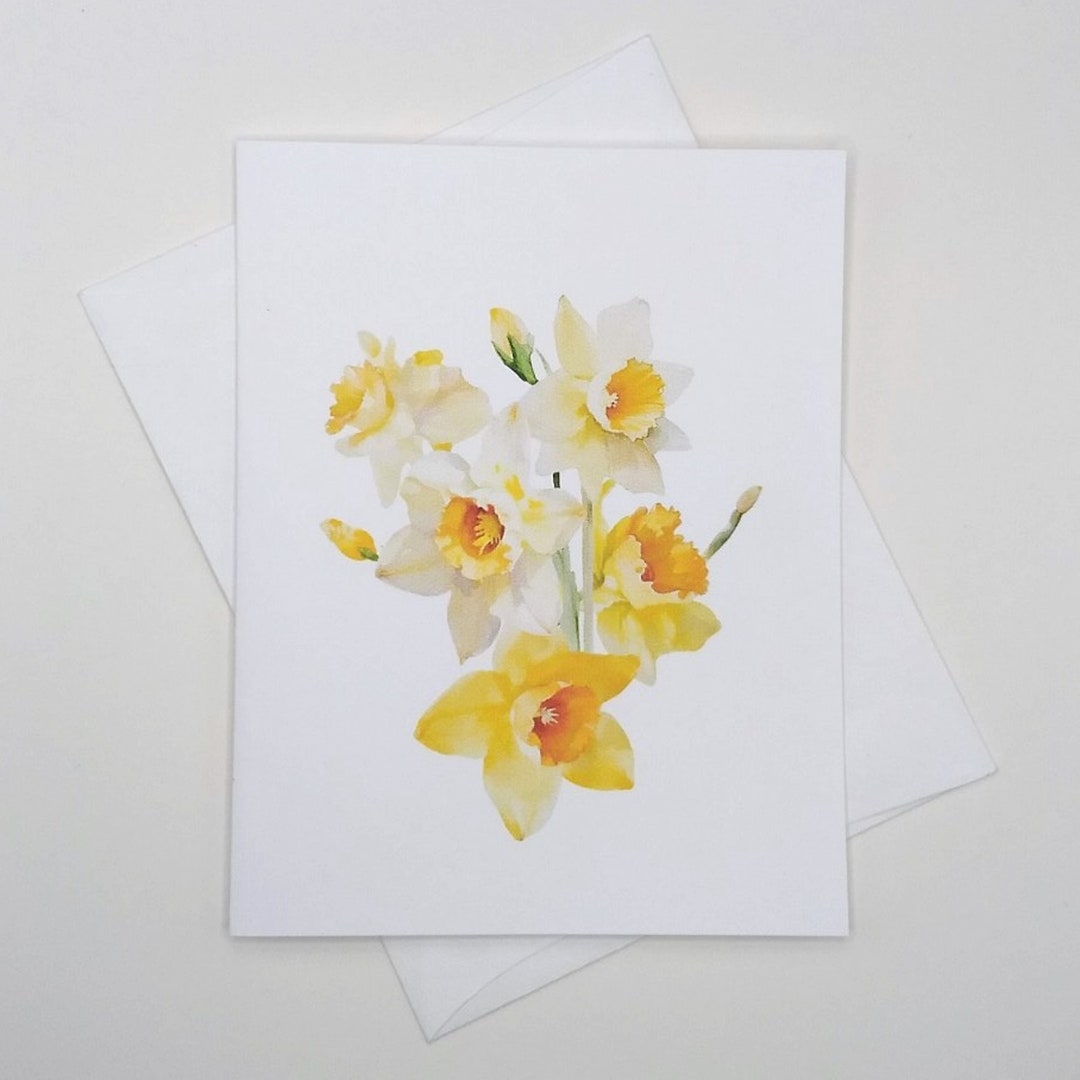Daffodil Card Set, 8 Blank Folded Cards, Watercolor Flowers, Daffodils ...