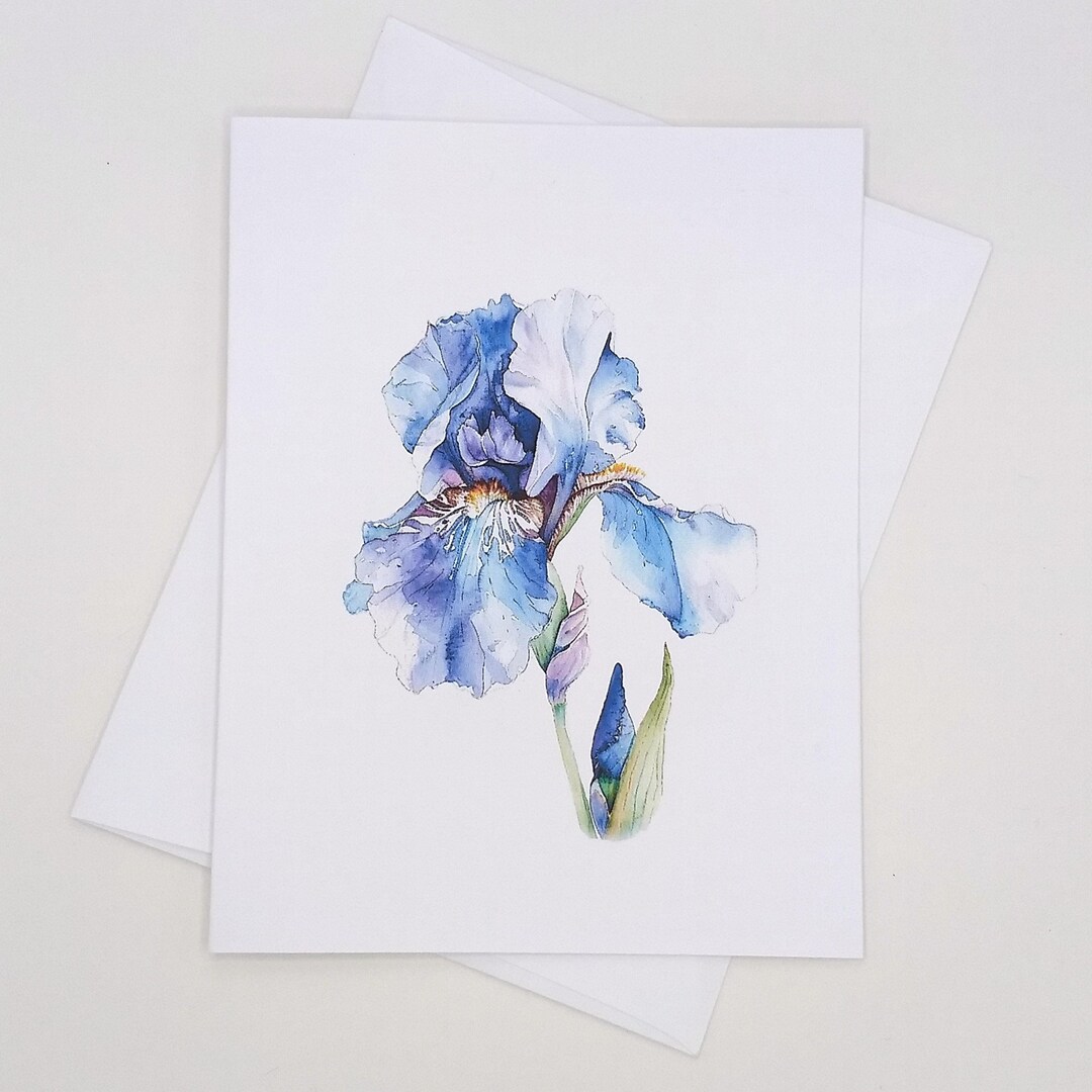 Blue Iris Card Set, Blank Folded Note Cards, Watercolor Flowers, Garden ...