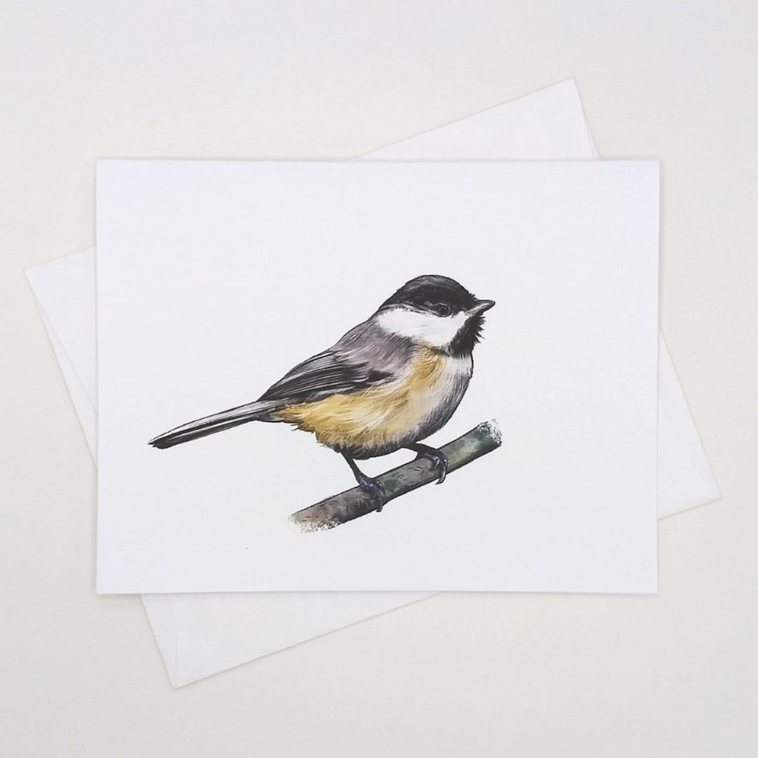 Chickadee Note Cards Set, 8 Blank Folded Cards, Black Capped Chickadee, Bird, Notecards - Etsy