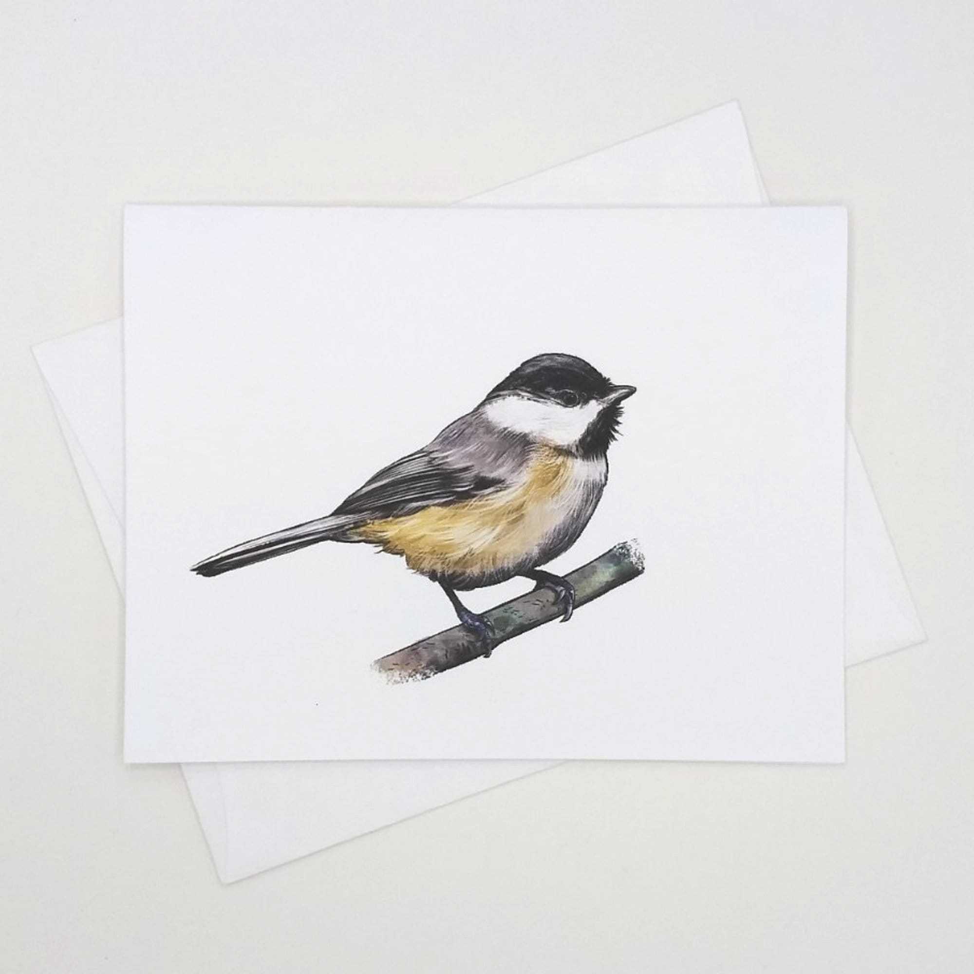 Chickadee Note Cards Set, 8 Blank Folded Cards, Black Capped Chickadee ...