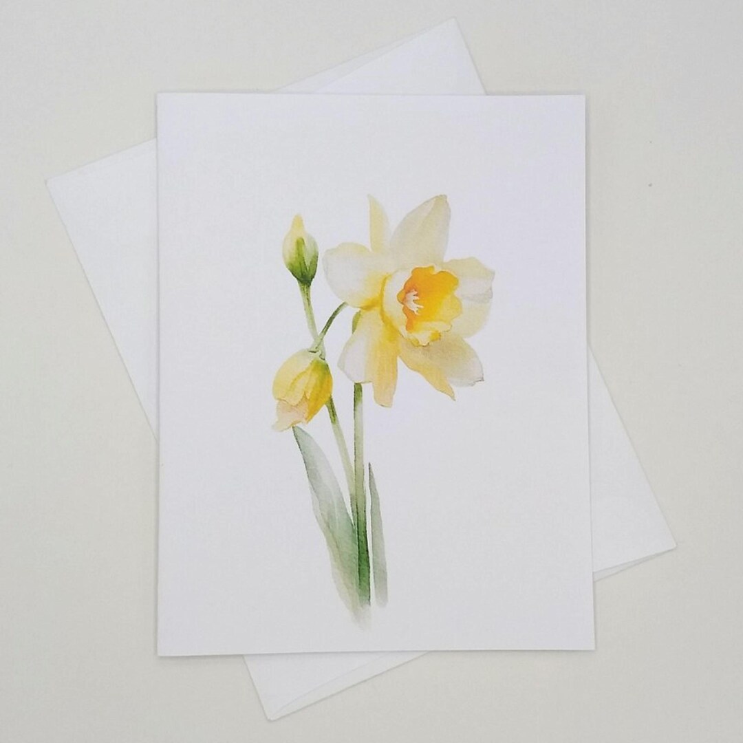 Daffodil Card Set, 8 Blank Folded Cards, Watercolor Style Spring ...