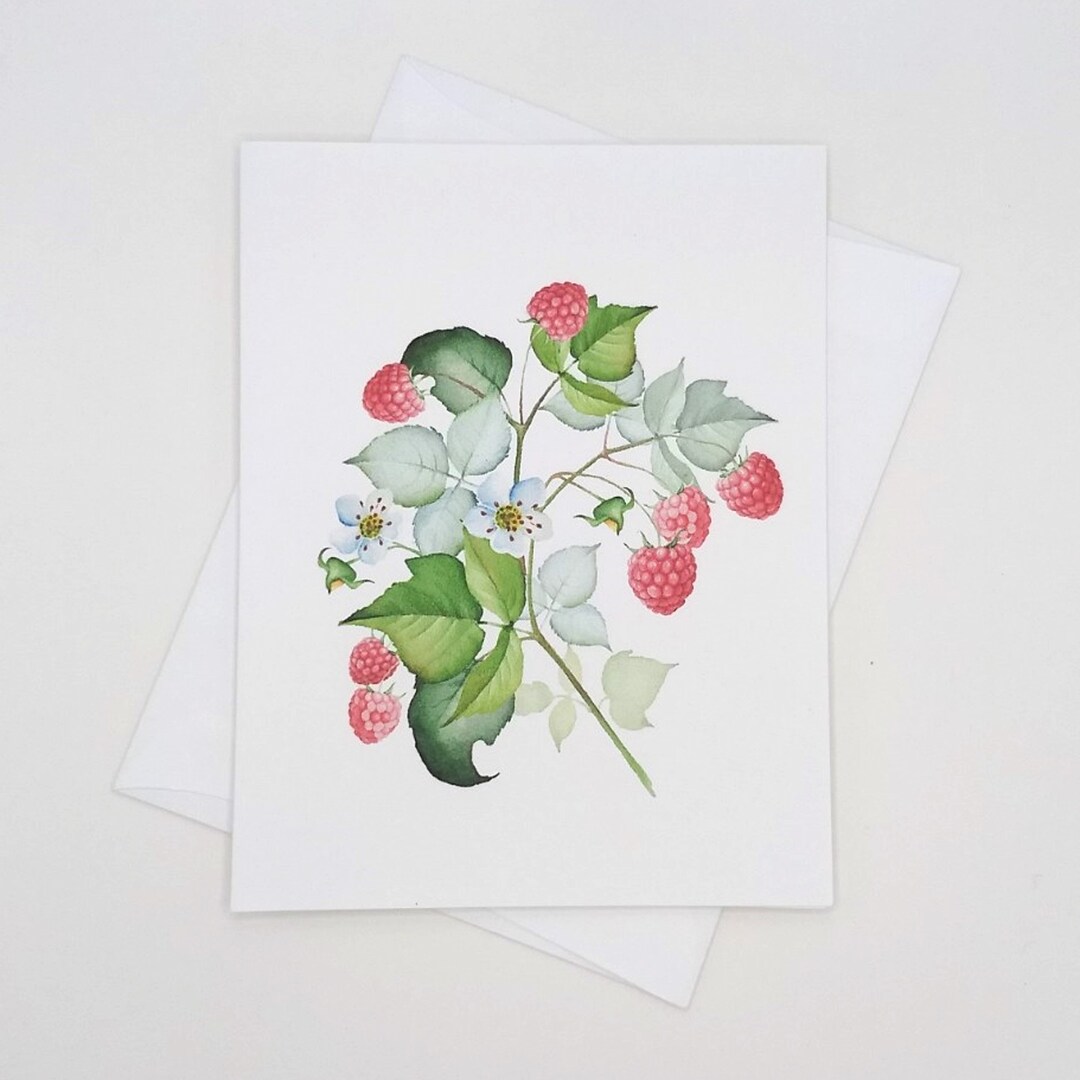 Raspberries Cards, 8 Blank Folded Note Cards, Watercolor Flowers ...