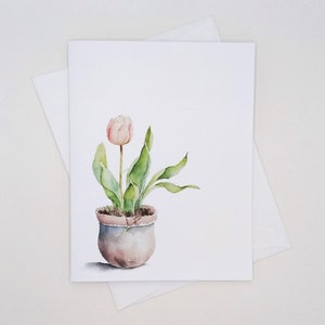 Pink Tulip Note Cards Set, 8 Blank Inside A2 Size Cards With Envelopes ...