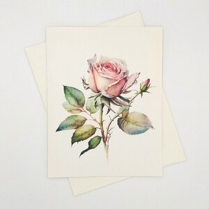 Blush Pink Rose Note Card Set, 8 Blank Folded Note Cards, Watercolor ...