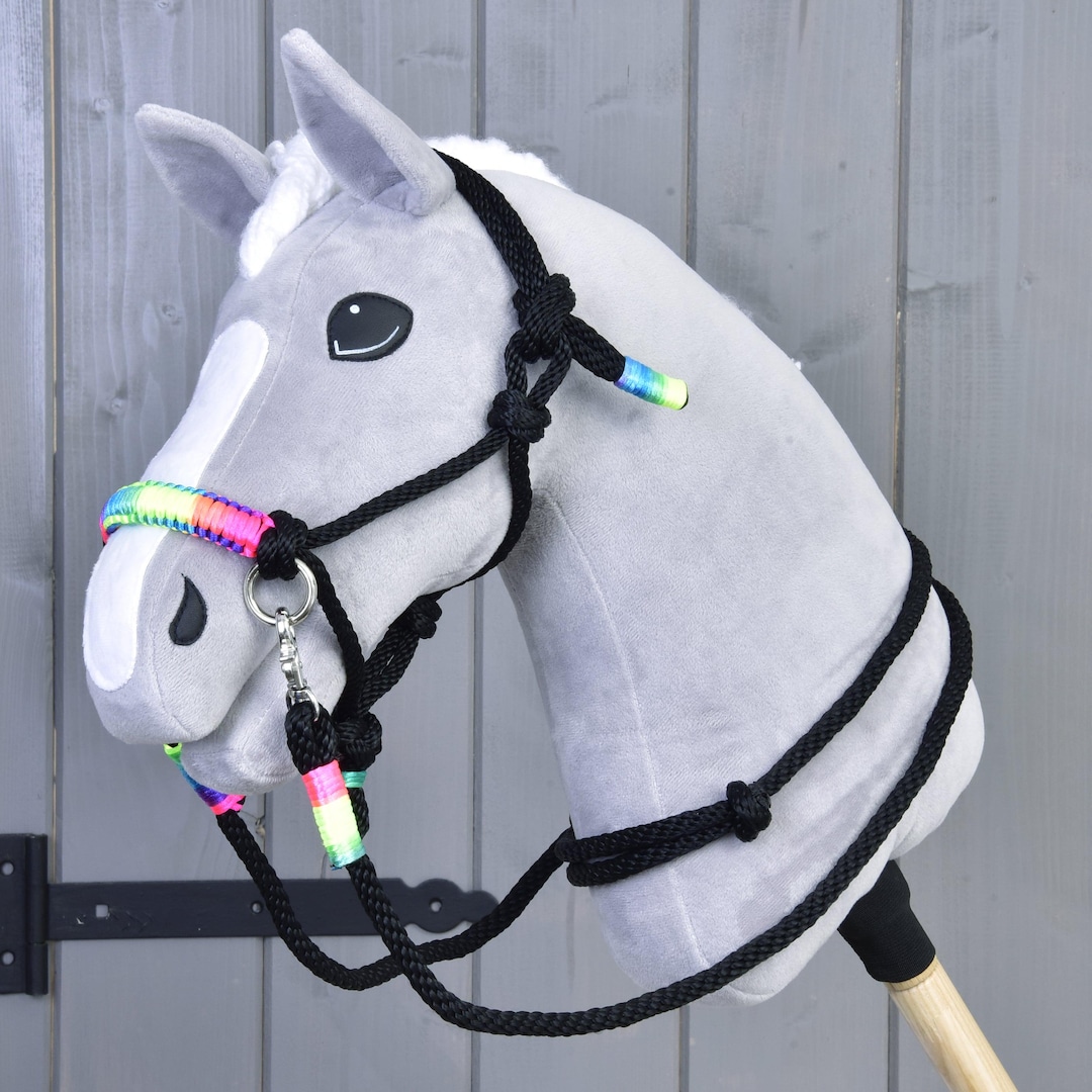 Larden Hobby Horse Rope Set Rainbow: Rope Halter, Reins & Cordeo ...