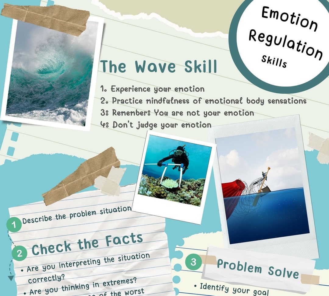 DBT Emotion Regulation Poster Using 3 Techniques - Etsy