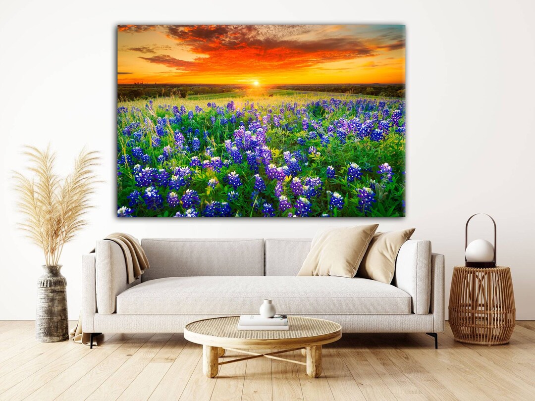 Wild Flower Field Home & Office Decor | Texas Bluebonnet Field Canvas ...
