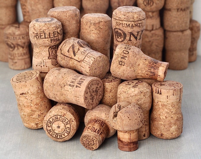 50 Champagne Corks Used Sparkling Wine Cork Lot for Crafting Supplies 1 ...