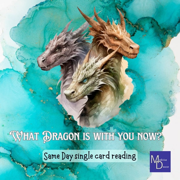 Reading Dragon - Etsy