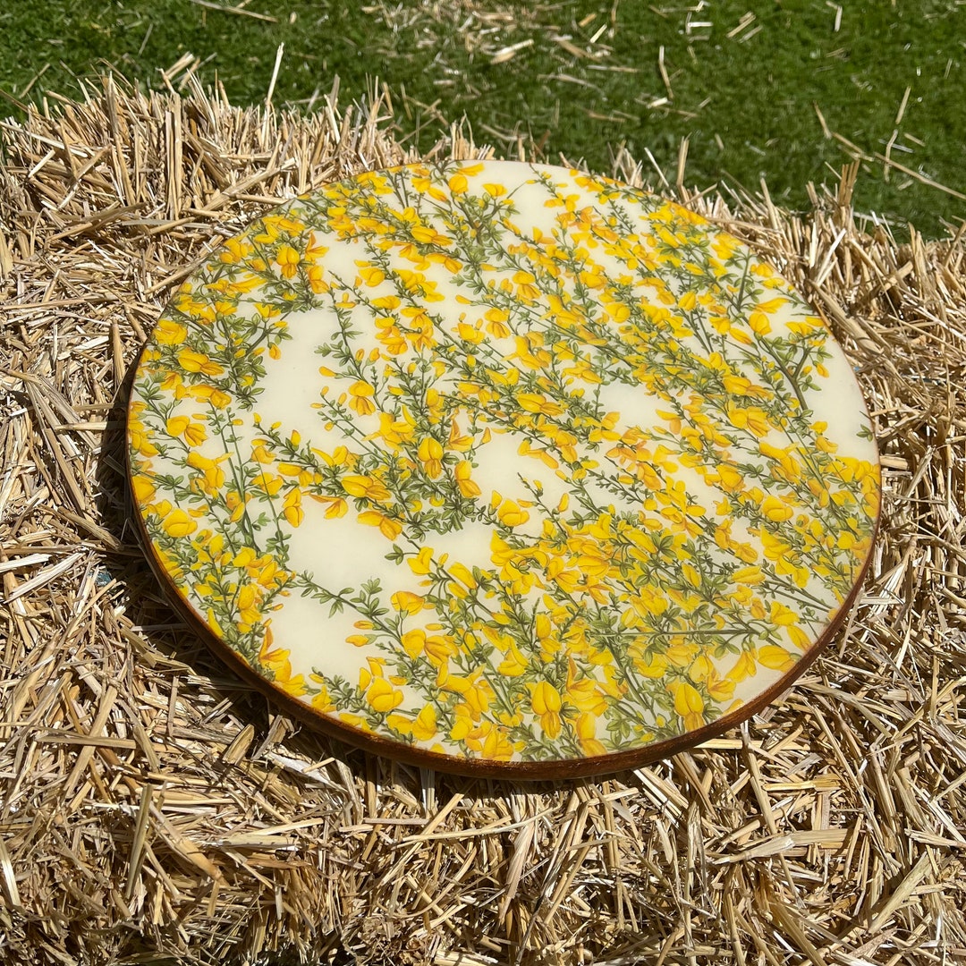 Rotating Table/lazy Susan Model Xesta - Etsy