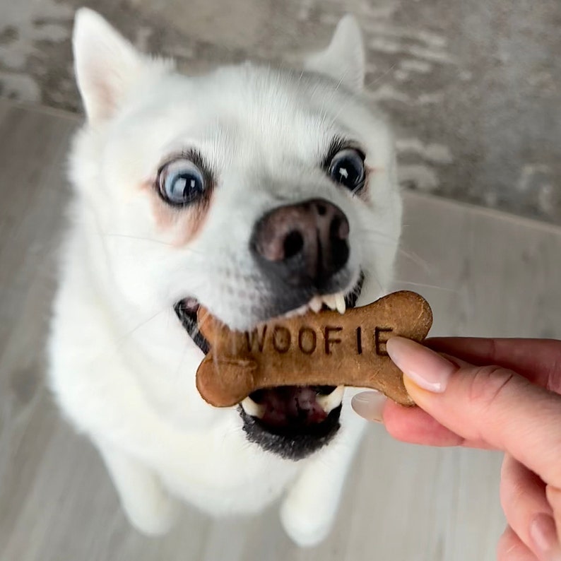 Natural Whole Grain Oat Peanut Colada Dog Treats , Biscuit, Dog Party ...