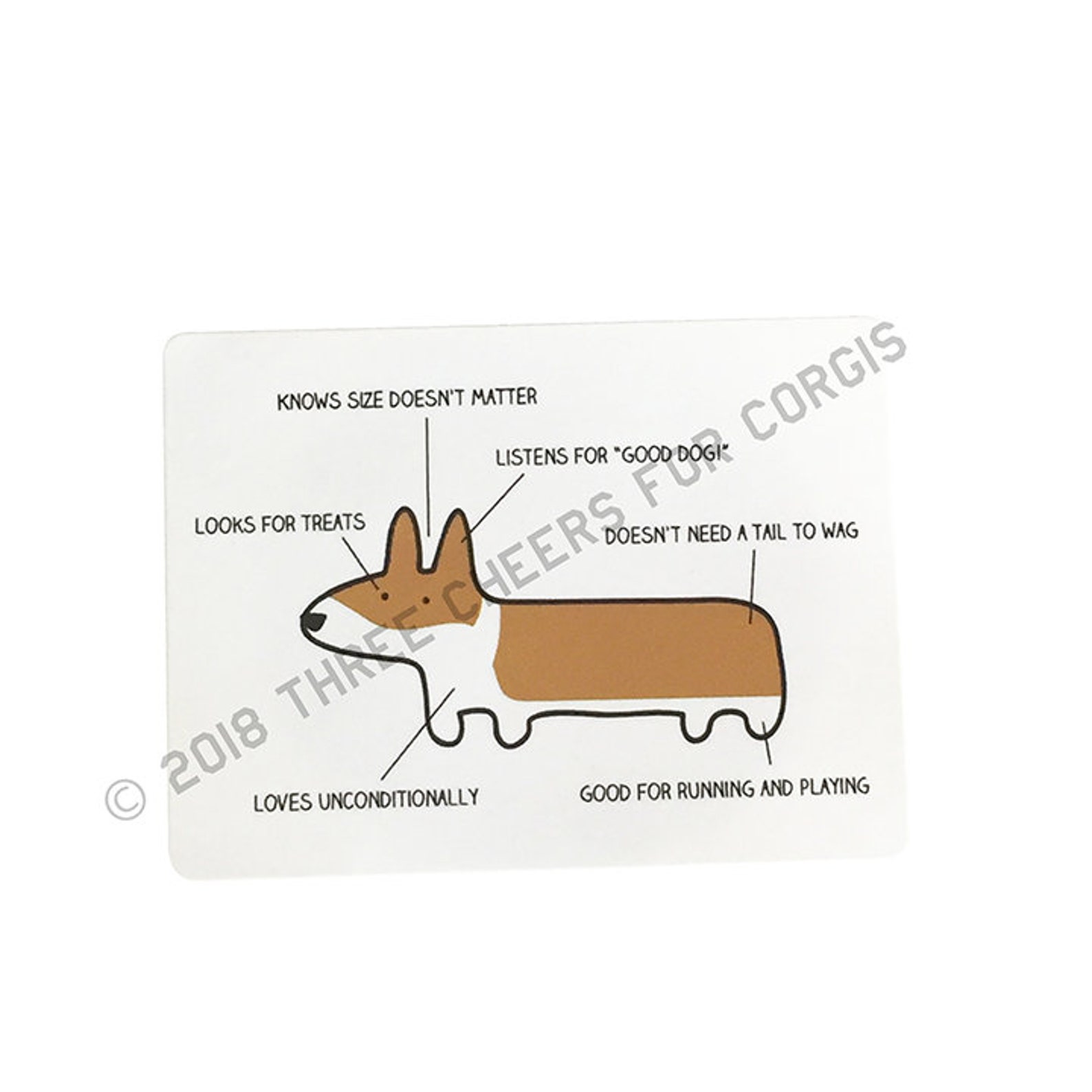 Anatomy of Corgi Sticker - Etsy