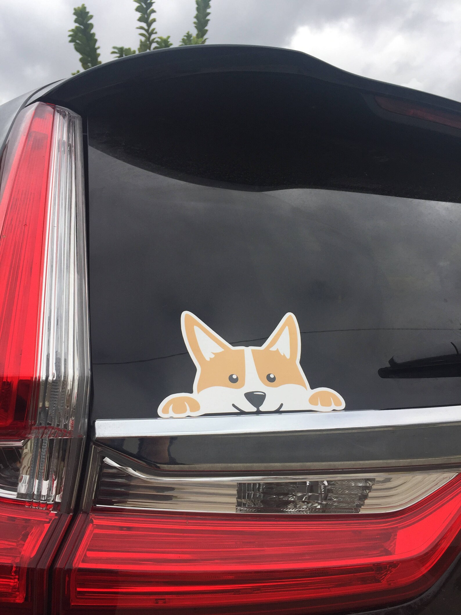 Peeking Corgi Sticker - Etsy