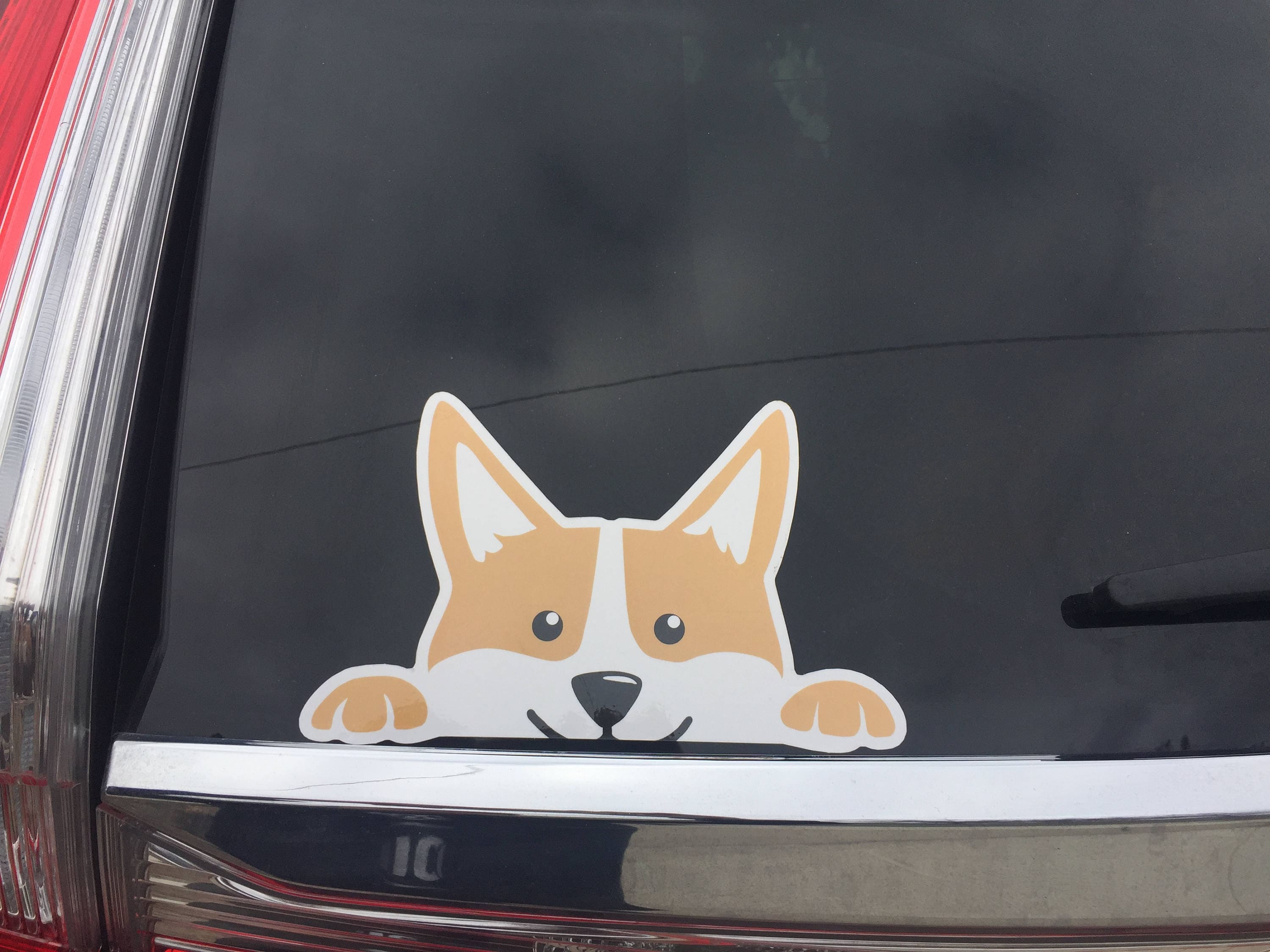 Peeking Corgi Sticker - Etsy