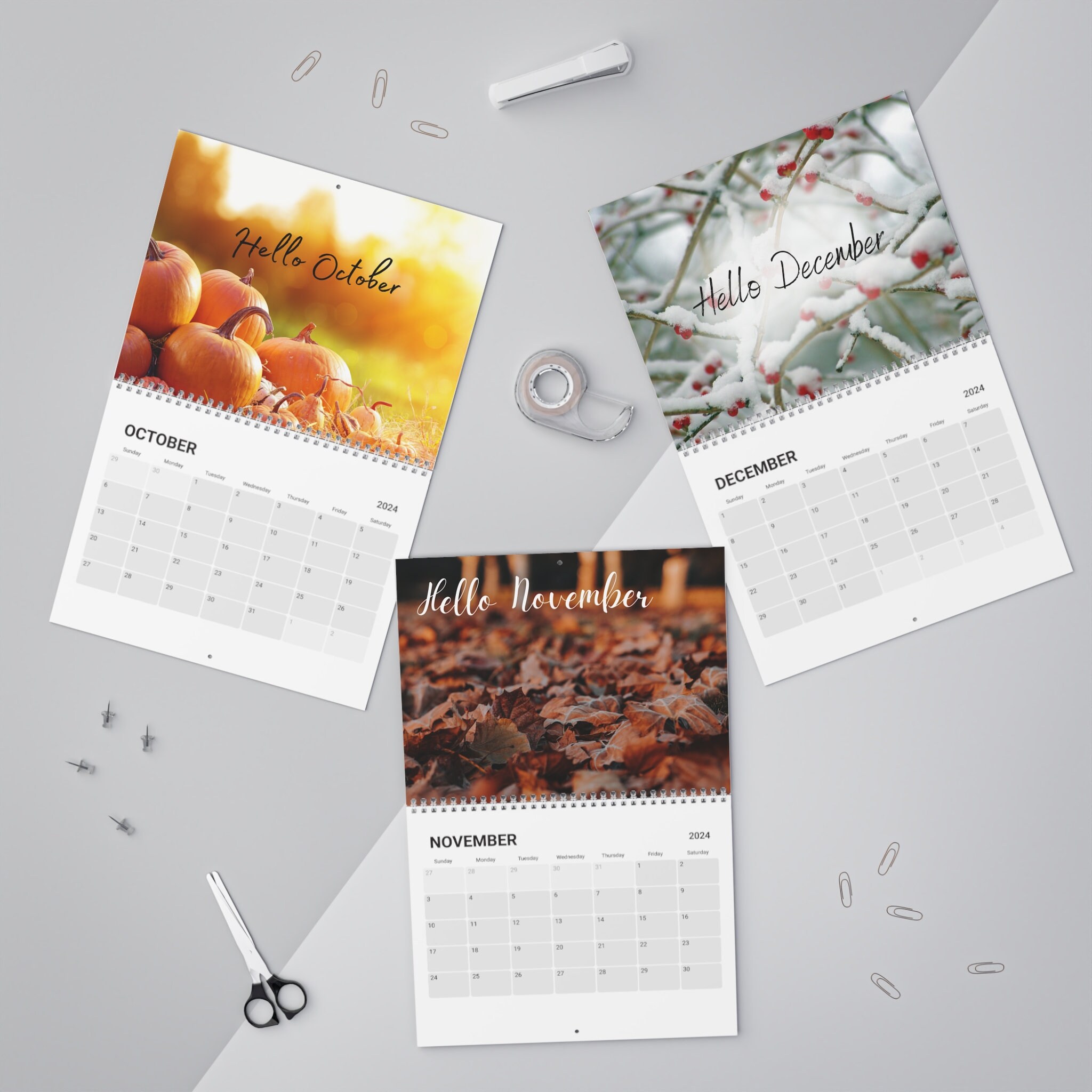 Good Morning Calendar 2024, Seasons Calendar, Winter, Spring, Summer ...