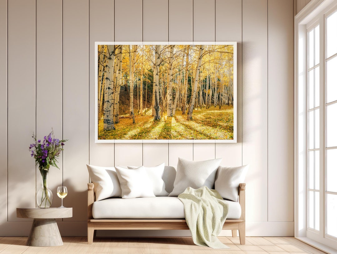 A Fine Art Decor Photo Print, A Colorado Field of Fog Mist Sun Rays ...