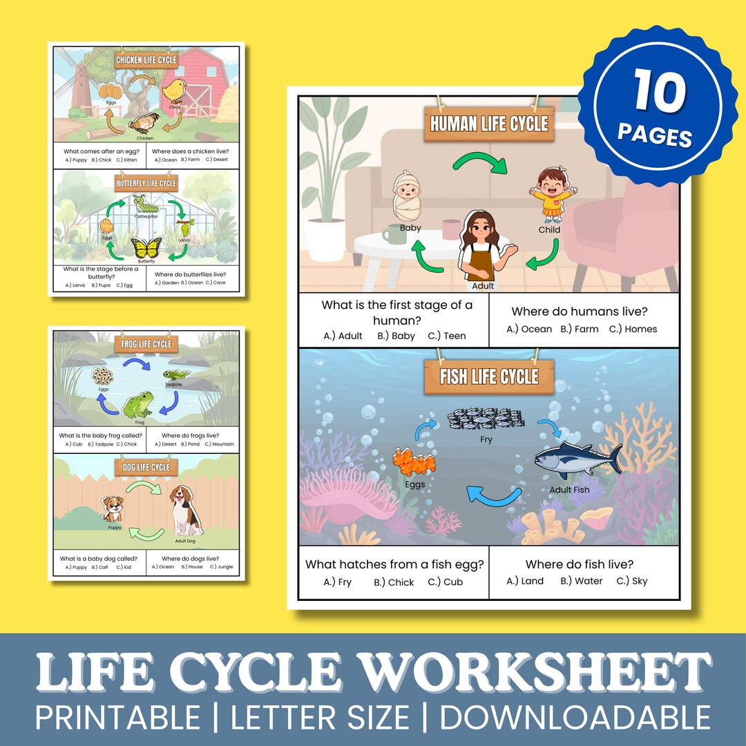 Feuille de travail sur le cycle de vie pour les enfants | Cycles de vie ...