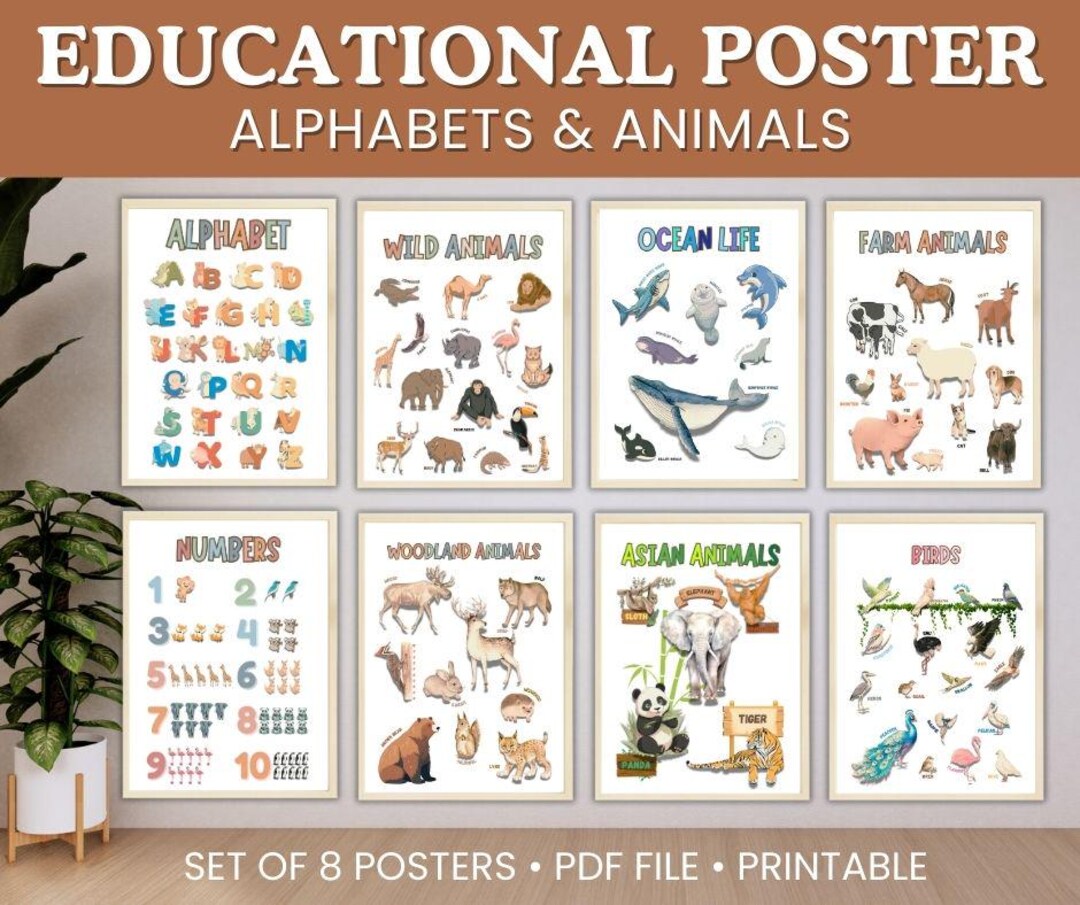 Set of 8 Educational Posters | Alphabet Poster | ABC Poster | Kids ...