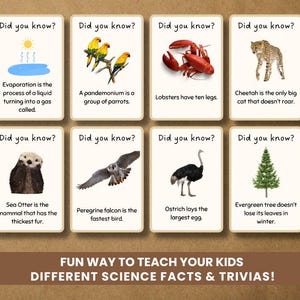 Science Trivia Flashcards for Kids: Elementary Facts (instant Download ...