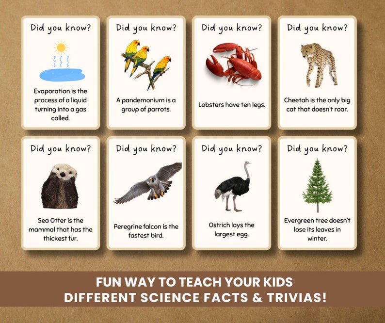 120 Science Trivia Flashcards for Kids | Elementary Science Facts ...
