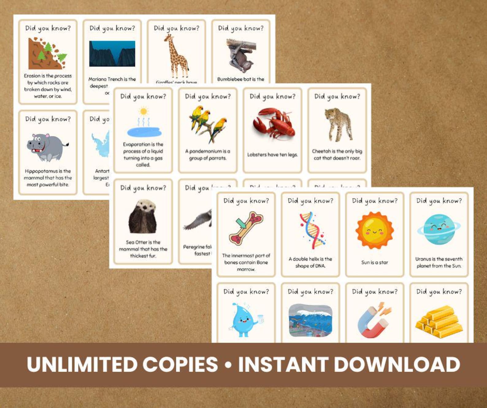 120 Science Trivia Flashcards for Kids | Elementary Science Facts ...