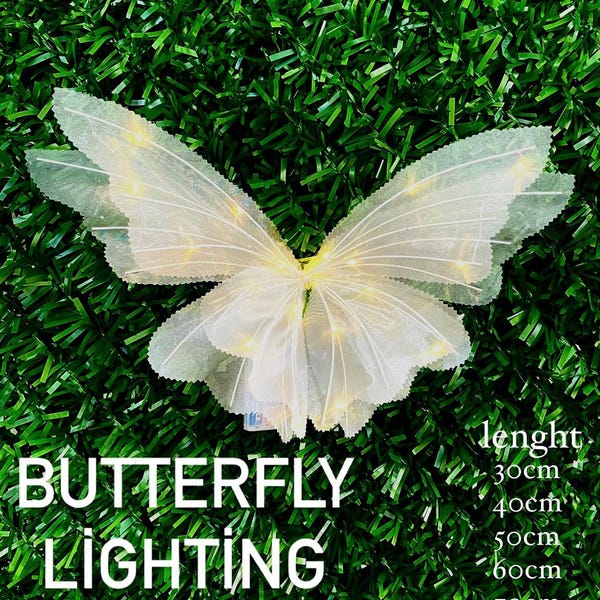 Organza Butterfly Wings - Etsy