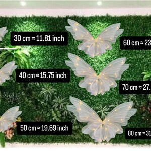 Giant Silk Butterfly Large Butterfly Organza Art, Large Tulle Butterfly ...