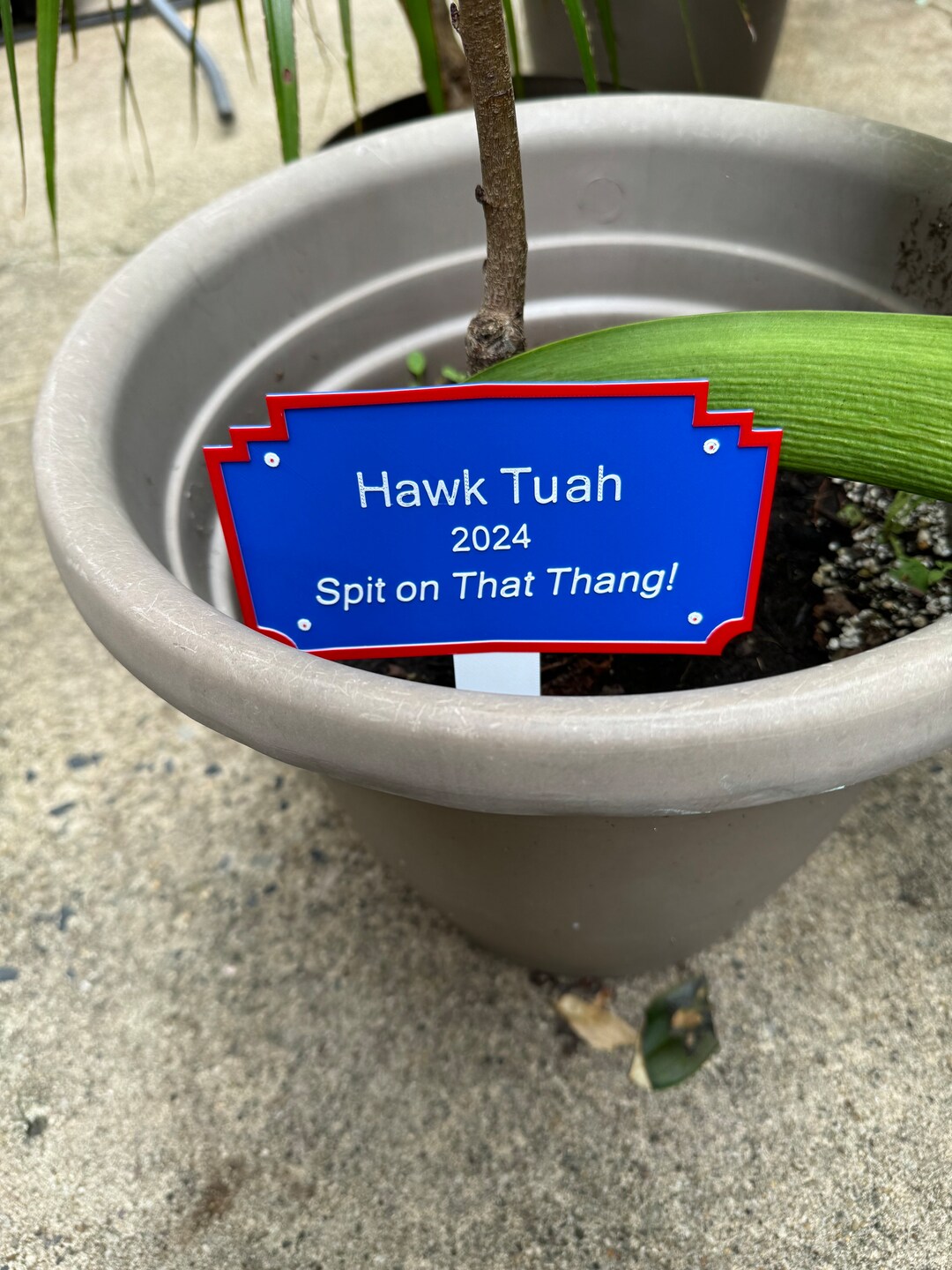 Hawk Tuah 2024 Campaign Sign spit on That Thang - Etsy Australia