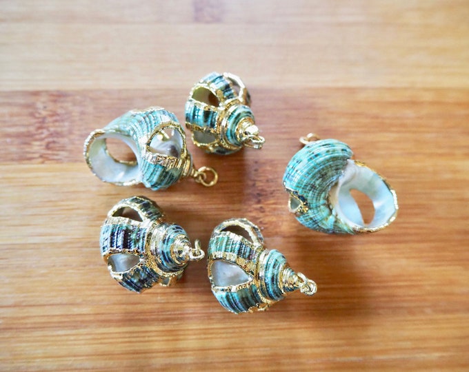 5 Pieces Gold-plated Green Conch Shell Charms - Etsy