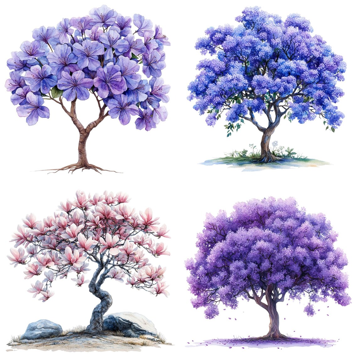 Jacaranda Tree PNG Clipart Bundle, Watercolor Tree Illustration ...