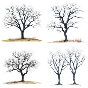 Ash Tree PNG Clipart Bundle, Watercolor Ash Forest Landscape ...