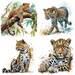 Watercolor Leopard PNG Clipart, 28 Wild Big Cat Panthera Pardus Images ...