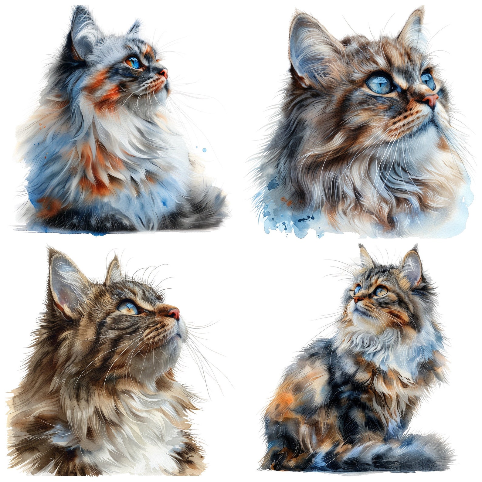Norwegian Forrest Cat Breed PNG Clipart, Watercolor 35 Northern Europe ...