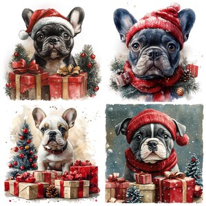 37 Christmas French Bulldog PNG Clipart Bundle, Xmas Frenchie Dog ...