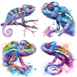 23 Watercolor Chameleon PNG Clipart, Color-changing Lizard Chamaeleons ...