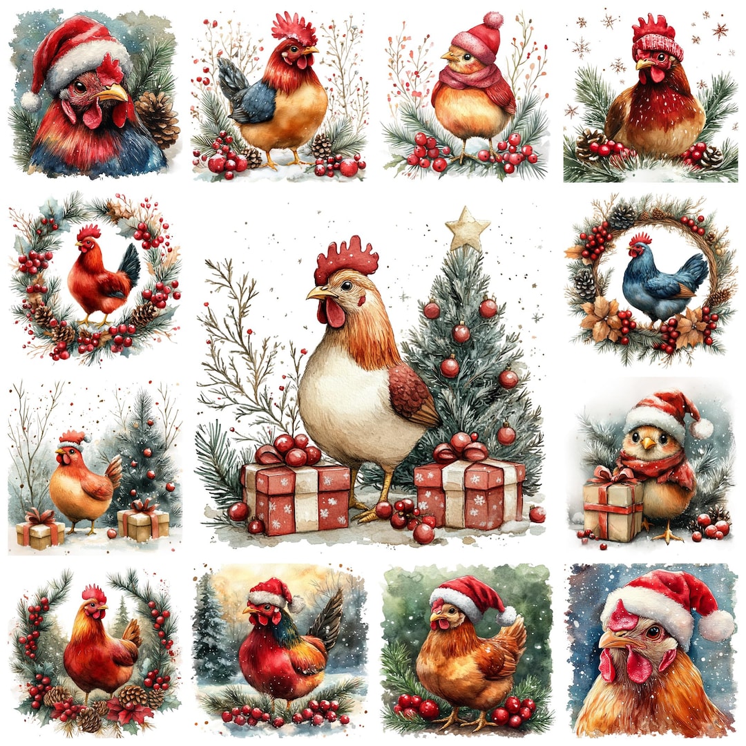 32 Christmas Chicken PNG Clipart Bundle, Watercolor Xmas Chicken ...