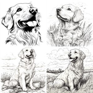 Golden Retriever Line Art PNG Clipart Bundle, Abstract Line Line Art ...