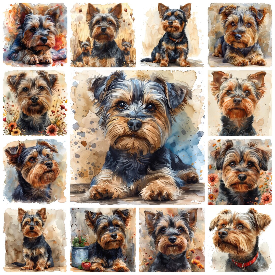 Watercolor Yorkshire Terrier PNG Clipart, 37 Tiny Yorkie Terrier Dog ...
