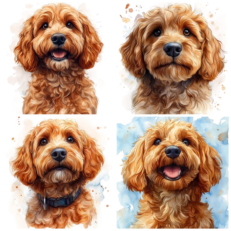50 Golden Doodle Dog Breed Clipart PNG Bundle, Watercolor Fluffy Doodle ...