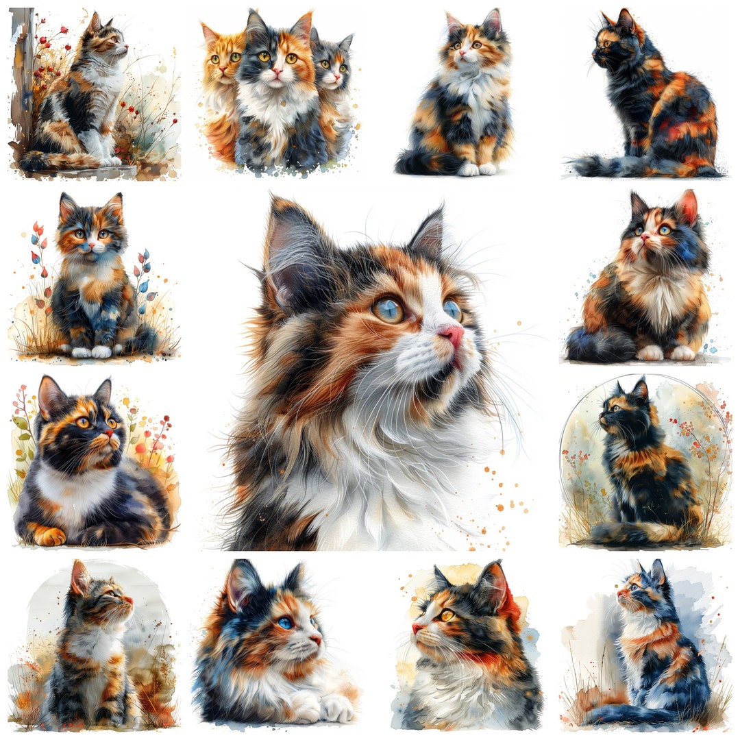 41 Calico Cat PNG Clipart, Watercolor Tricolor Cat Transparent BG ...