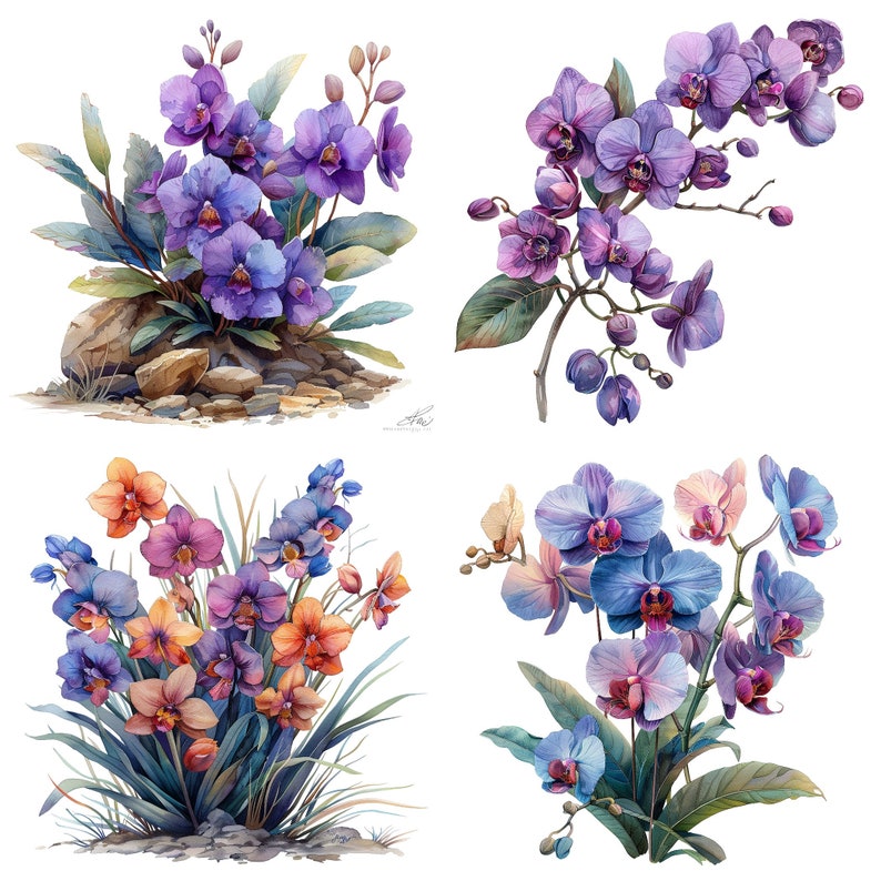 Orchid Plants PNG Clipart, Watercolor 32 Orchidaceaetransparent BG ...