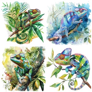 23 Watercolor Chameleon PNG Clipart, Color-changing Lizard Chamaeleons ...